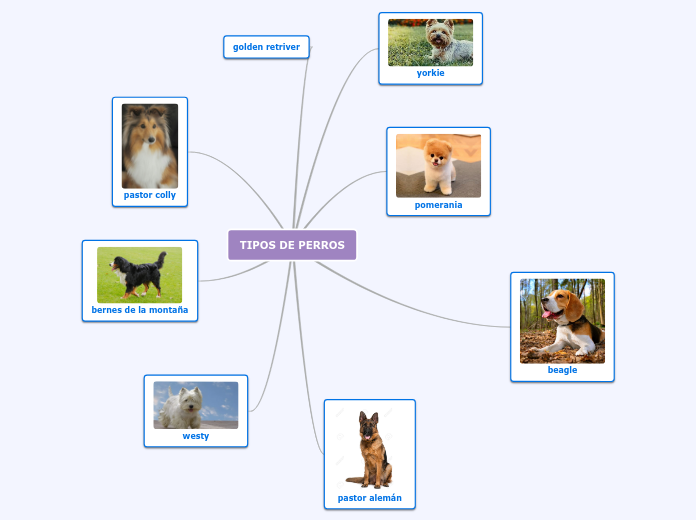 TIPOS DE PERROS - Mind Map